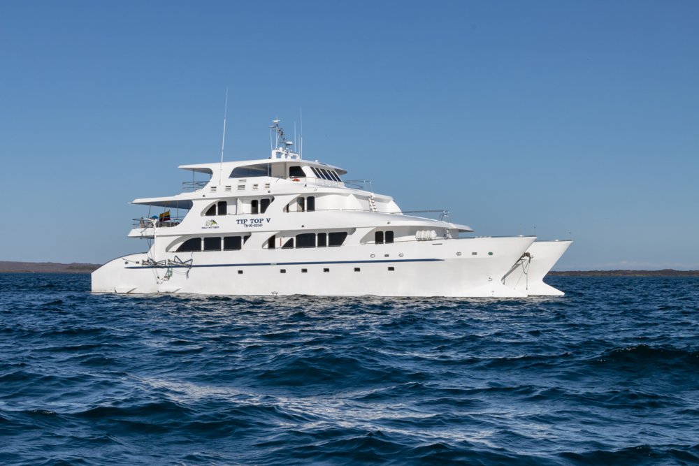 Last Minute Galapagos Cruise Deals – Rolf Wittmer Yachts